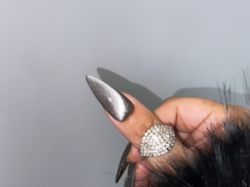 Silver Cat Eye Press on Nails Cat Eye Nails Long Nails - Etsy