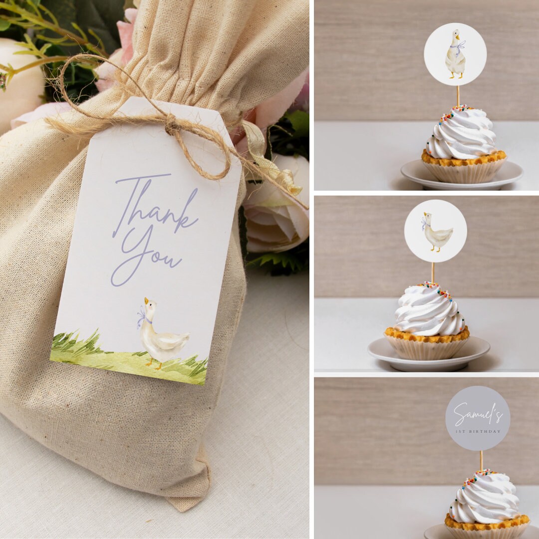 Silly Goose First Birthday Bundle First Birthday Suite Printable ...