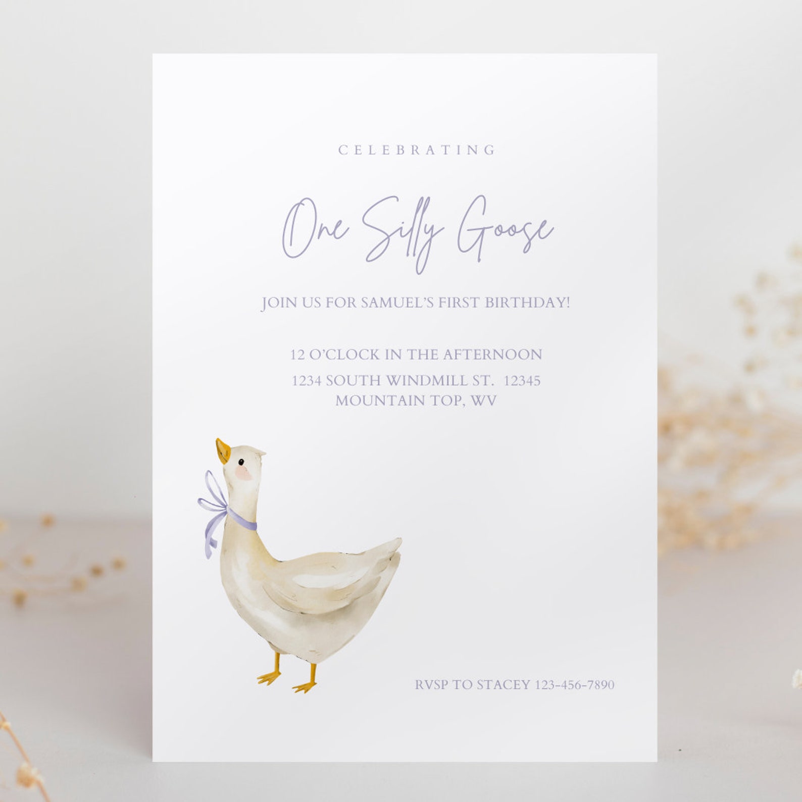 Silly Goose First Birthday Bundle First Birthday Suite Printable ...