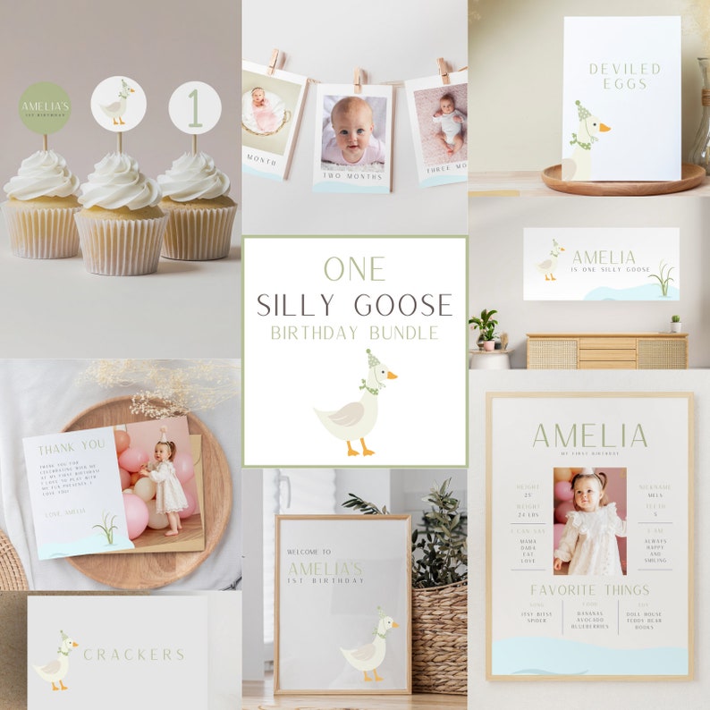 One Silly Goose First Birthday Bundle Goose First Birthday Suite ...