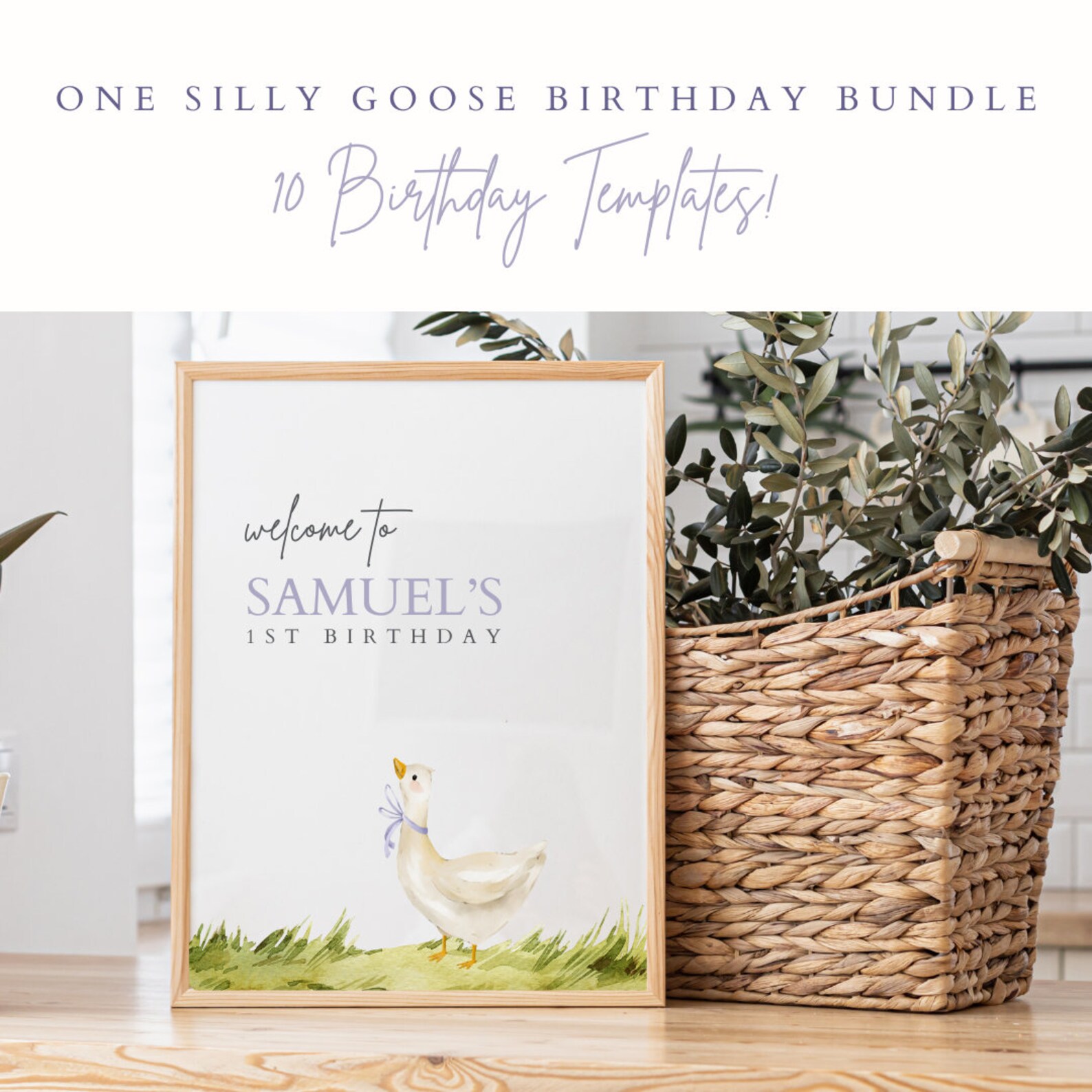 Silly Goose First Birthday Bundle First Birthday Suite Printable ...
