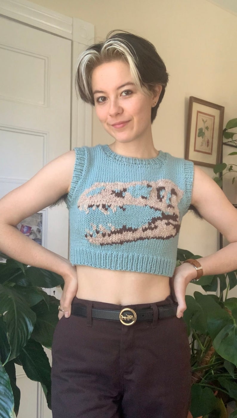 PDF: T Rex Vest Knitting Pattern *digital Download Only* - Etsy