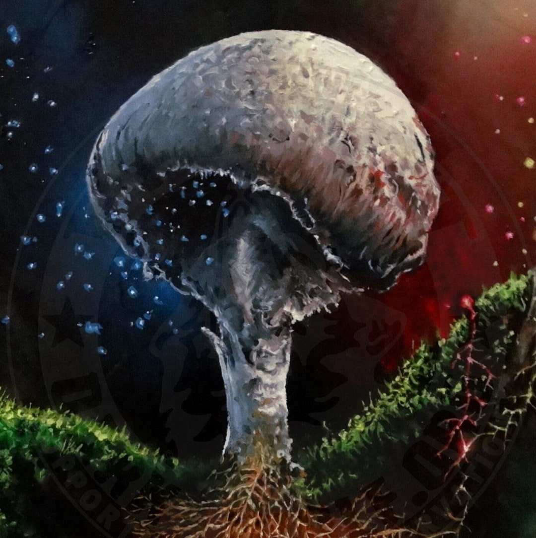 Mycelium Art Print Mushroom Spores Fungi Toadstool Fungus Woodland ...
