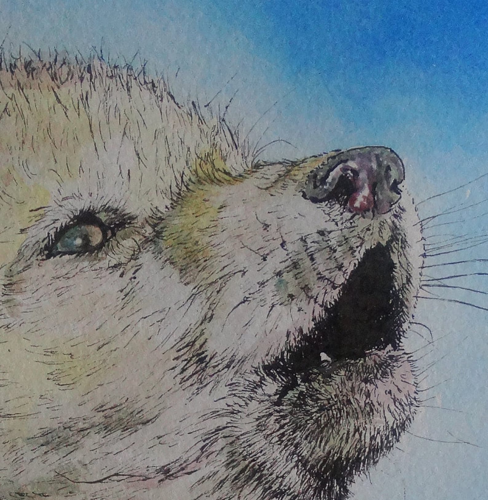 Howling Wolf Pup Art Print "awoo!" | Watercolour | Gift | Baby Animal ...