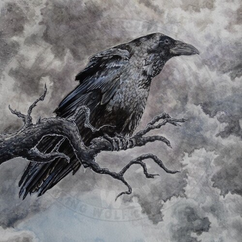 Art Print: Raven Moon Fine Art Print From the Original | Etsy