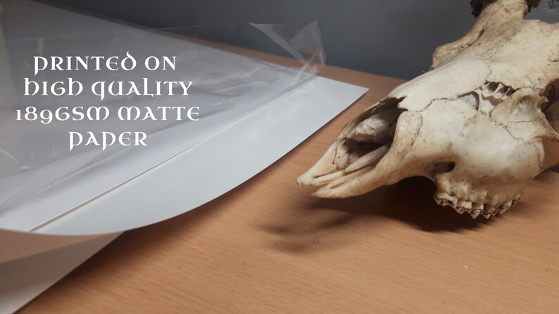 Arctic Wolf Art Print | Snow | Birch Trees | White Wolf | Fantasy - Etsy