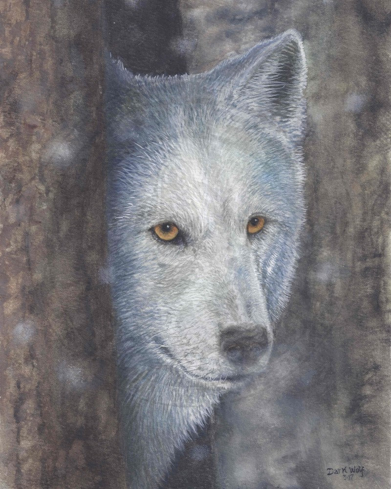 Arctic Wolf Art Print | Snow | Birch Trees | White Wolf | Fantasy - Etsy