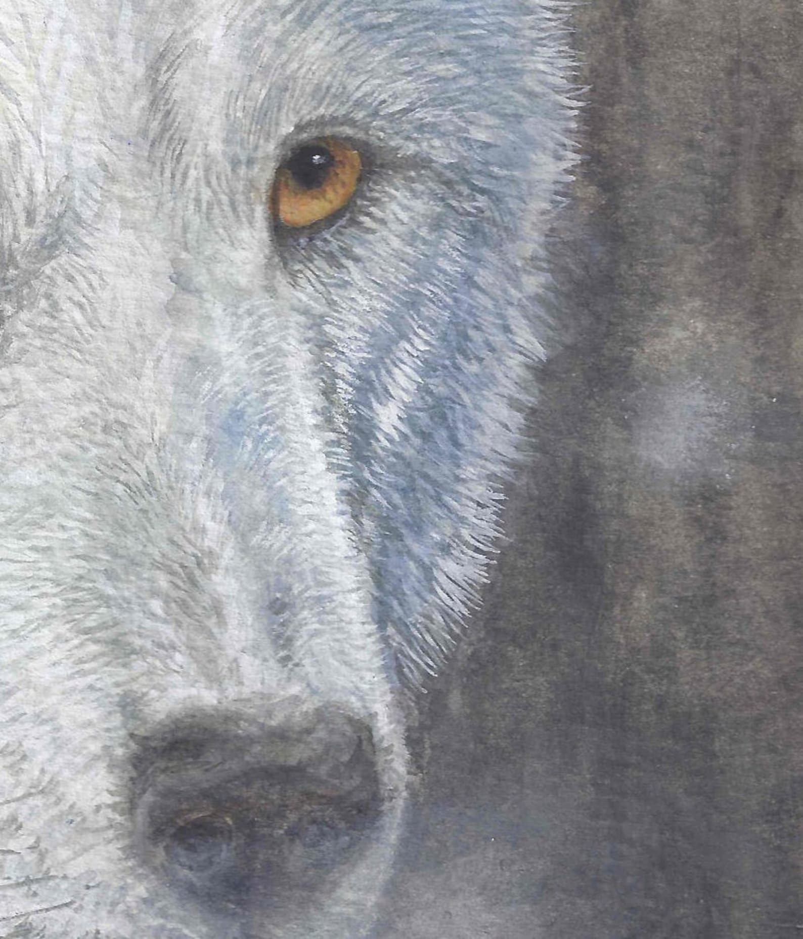 Arctic Wolf Art Print | Snow | Birch Trees | White Wolf | Fantasy - Etsy