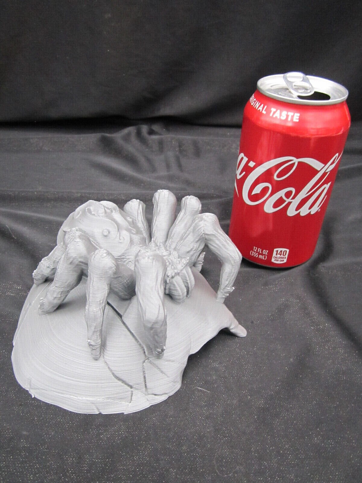 Tarantula Spider on Skull Cap 3d Creepy Display halloween - Etsy