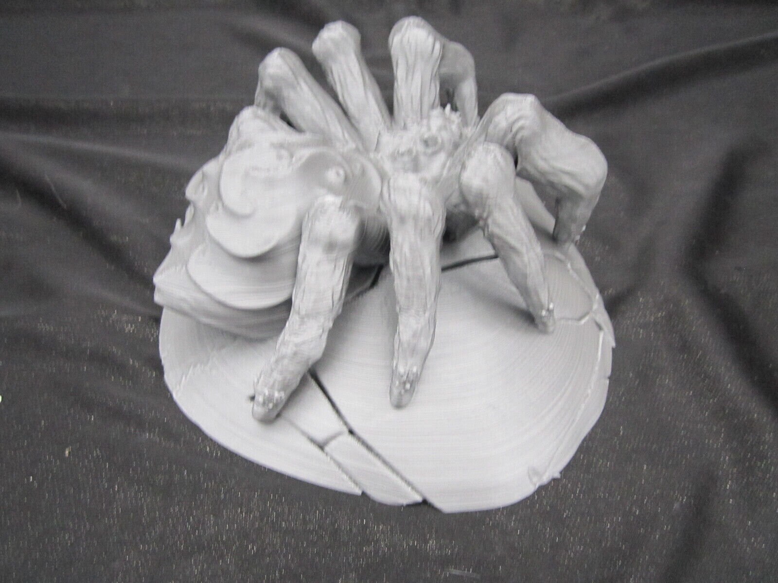 Tarantula Spider on Skull Cap 3d Creepy Display halloween - Etsy