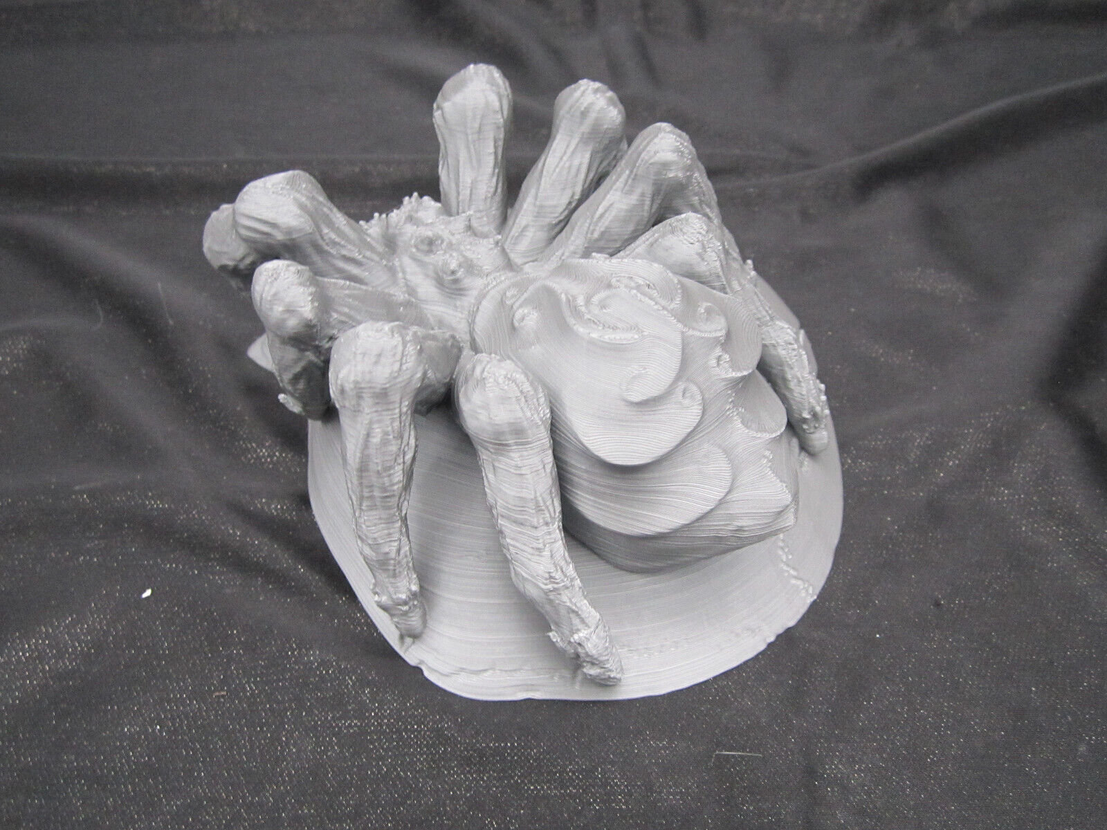 Tarantula Spider on Skull Cap 3d Creepy Display halloween - Etsy