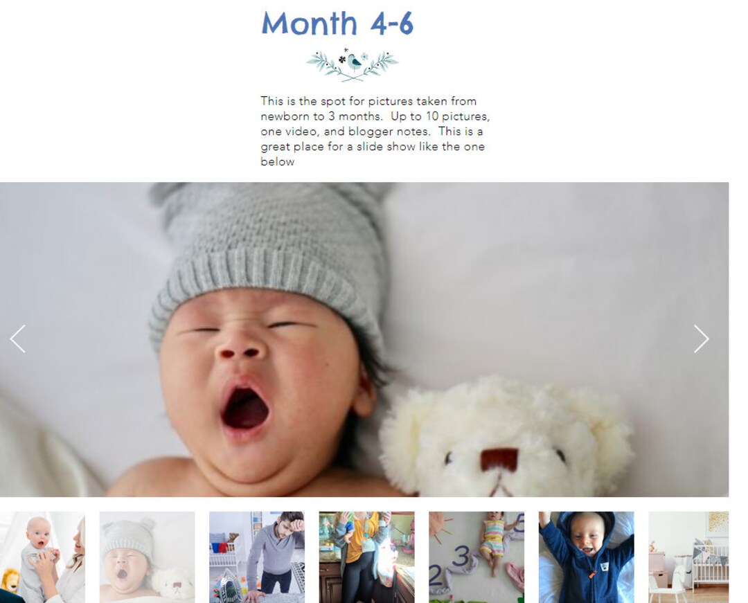 Digital Baby Memory Book - Etsy