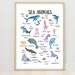 Sea Animals Alphabet Poster | Teachers Poster | Ocean Animals ABC ...