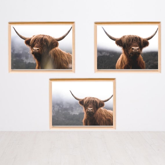 Set of 3 Highland Cow Print Highland Cow Prints Whimsy - Etsy