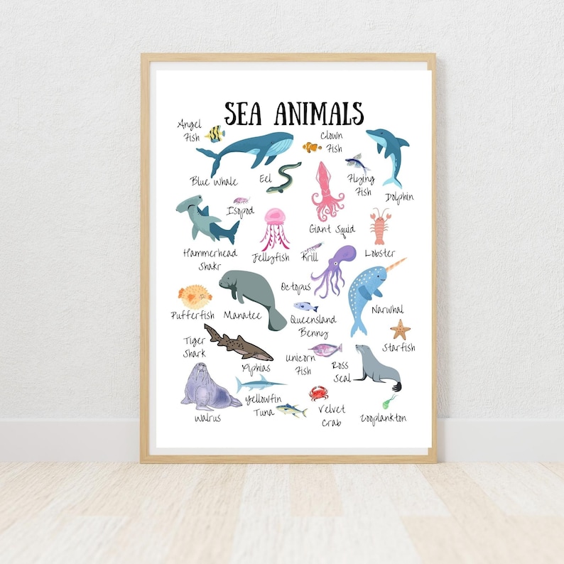 Sea Animals Alphabet Poster | Teachers Poster | Ocean Animals ABC ...