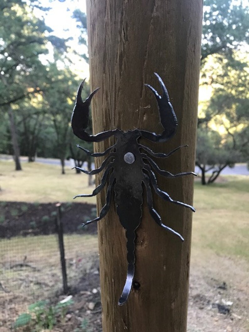Large Metal Tree Frog - Etsy