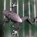 Large Metal Tree Frog - Etsy