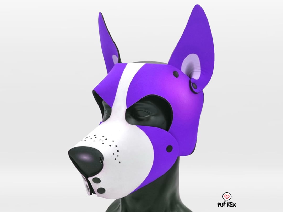 Purple Pup Rex One Neoprene Pup Hood - Etsy