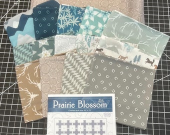 Walk on the Prairie Quilt Kit - Etsy