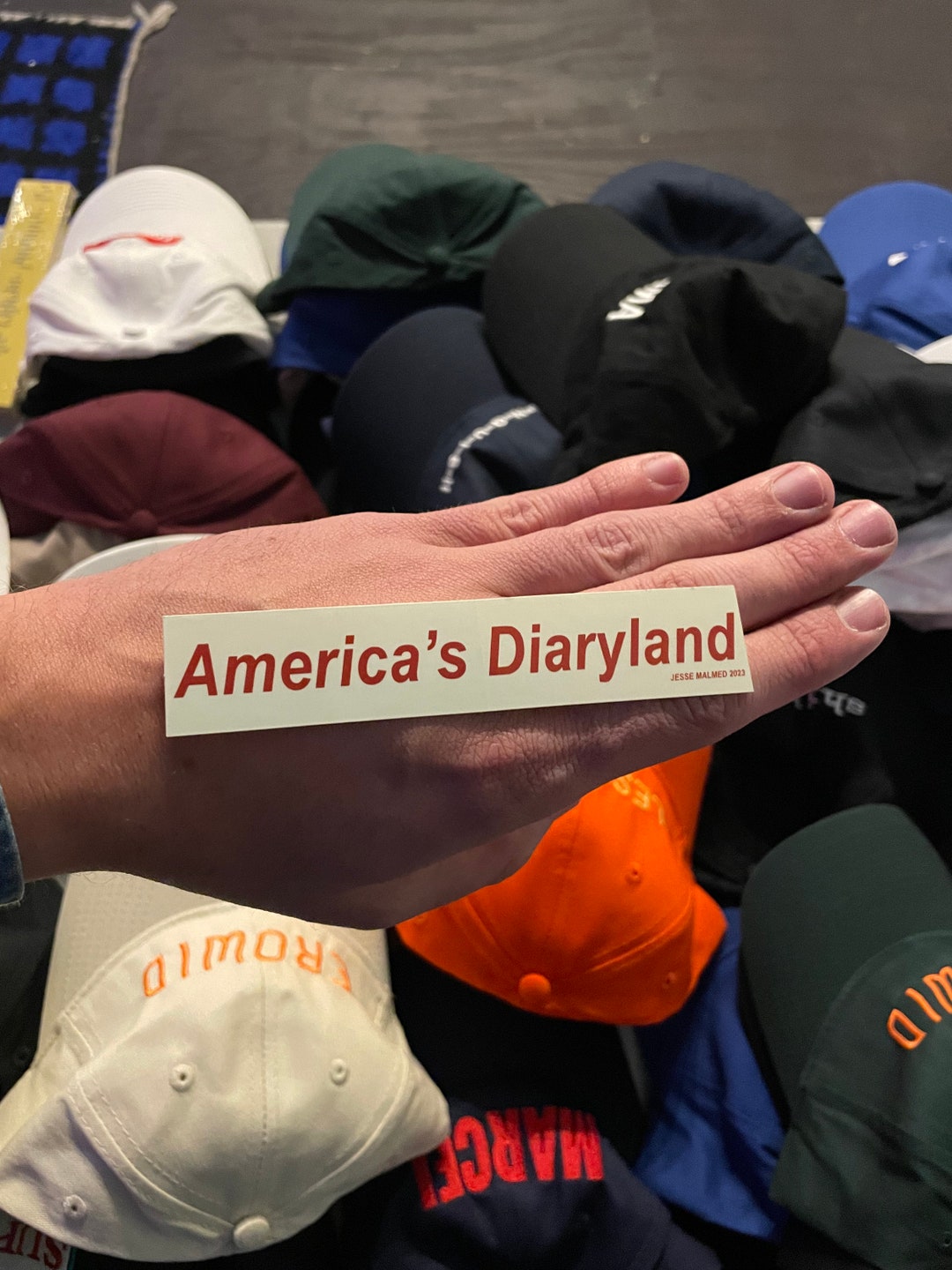 America's Diaryland - Etsy
