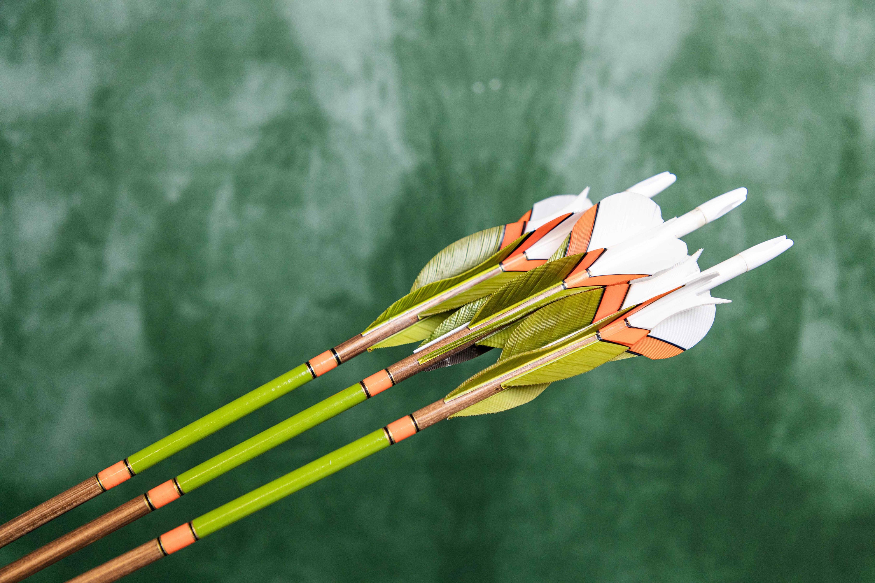 6-fletching Archery Arrow Olive Green and Orange - Etsy