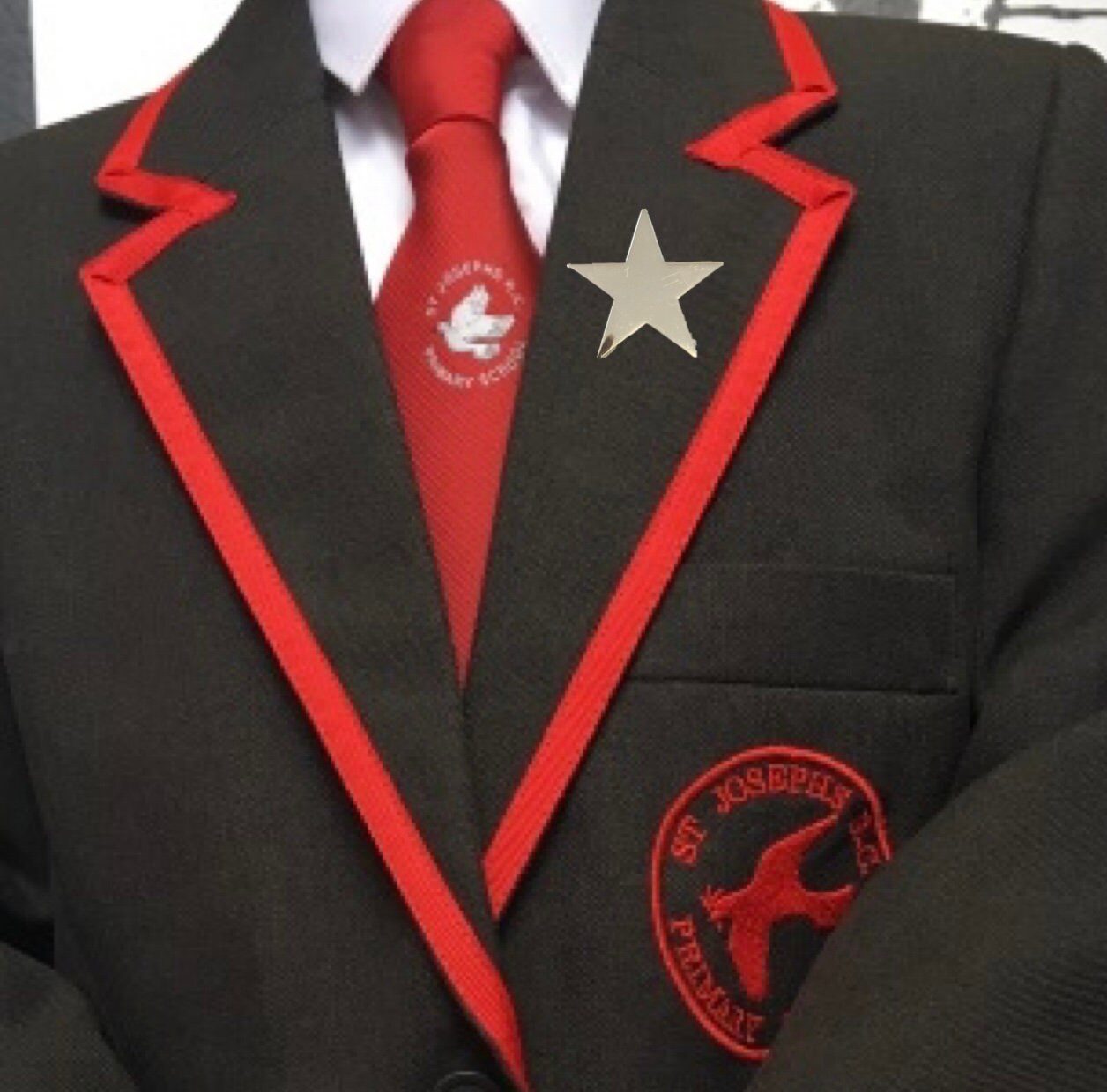 School Badge Gold Metal Star Pin Badge Large Metal School - Etsy