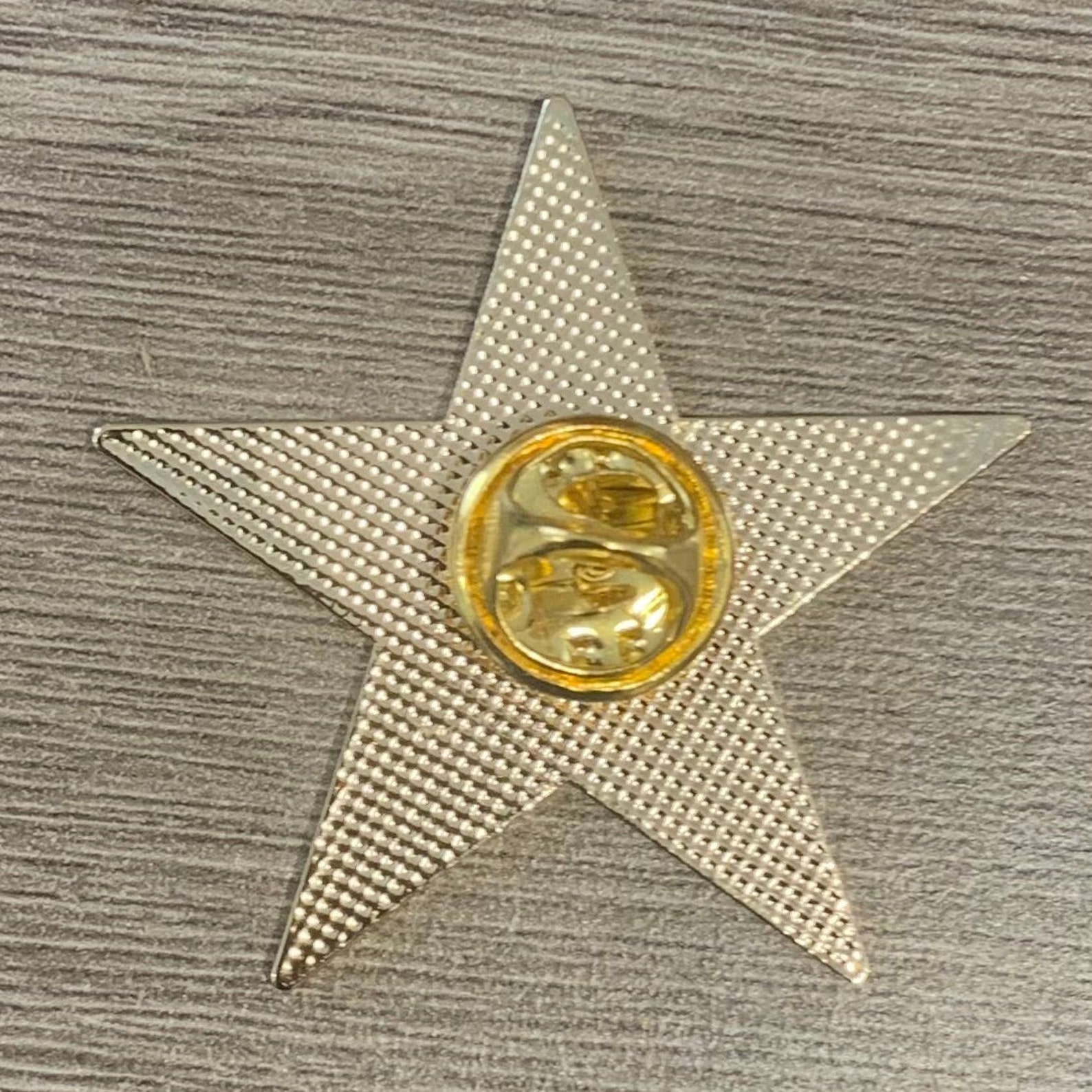 School Badge Gold Metal Star Pin Badge Large Metal School - Etsy