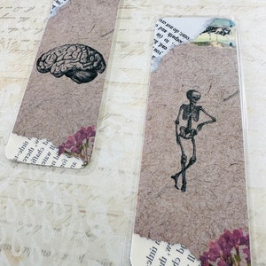 Bookmark Set of 8 Book and Anatomy Lovers, Gift for Healthcare ...