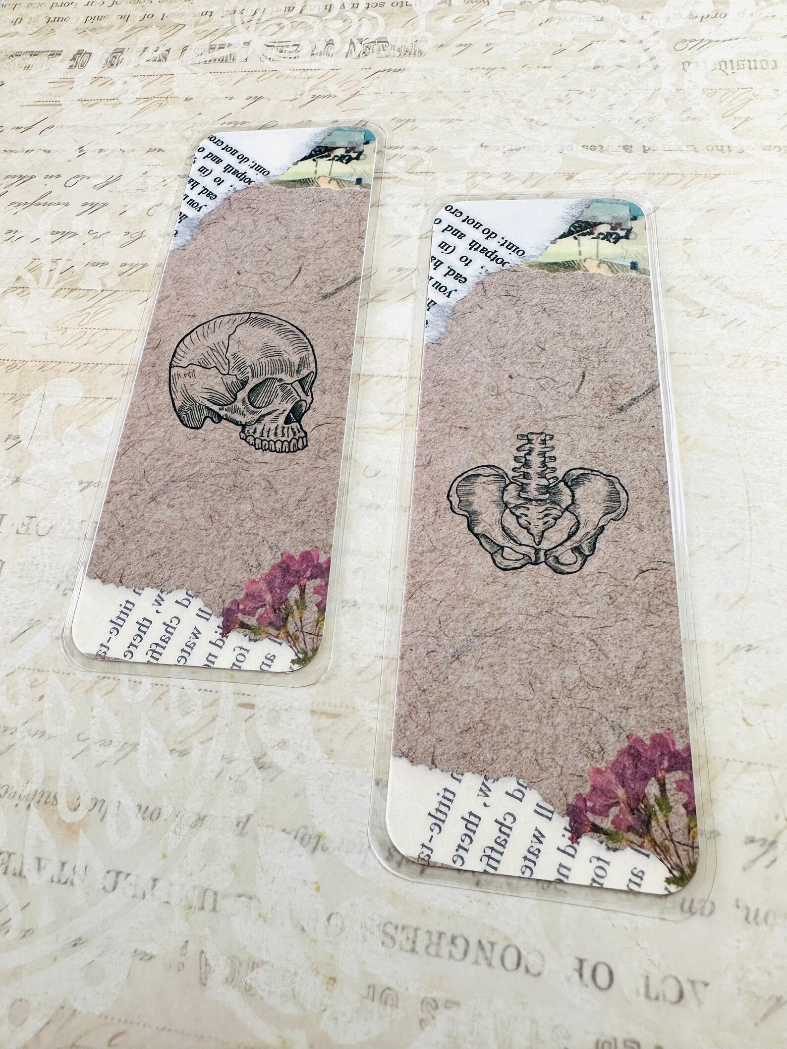 Bookmark Set of 8 Book and Anatomy Lovers, Gift for Healthcare ...