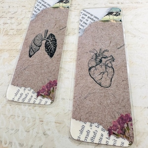 Bookmark Set of 8 Book and Anatomy Lovers, Gift for Healthcare ...