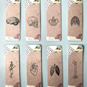 Bookmark Set of 8 Book and Anatomy Lovers, Gift for Healthcare ...