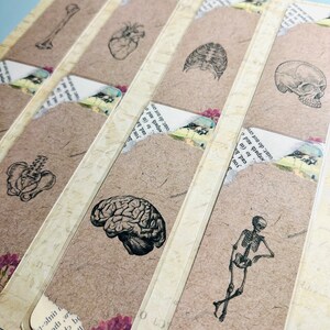 Bookmark Set of 8 Book and Anatomy Lovers, Gift for Healthcare ...