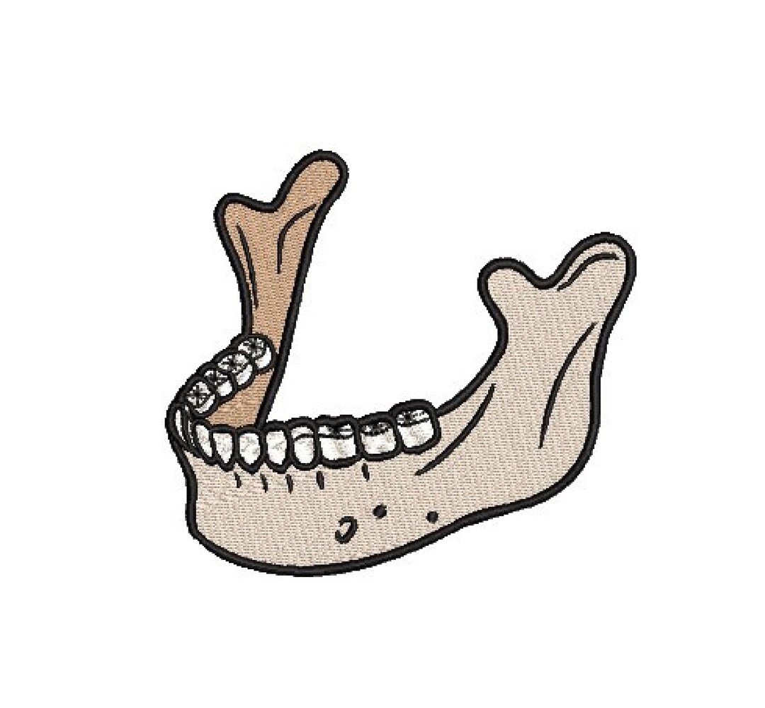 Jawbone Embroidery File, Bones and Fossil Embroidery Design, Teeth and ...