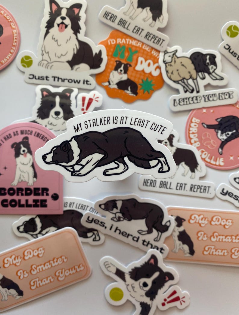 Border Collie Sticker, Gift for Border Collie Mom, Border Collie Dad ...