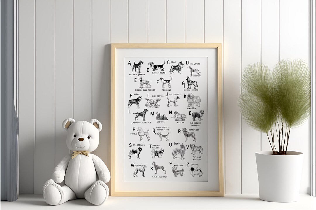 Dog Alphabet Decor for Nursery | Vintage Dog Decor for Baby Room | Dog ...