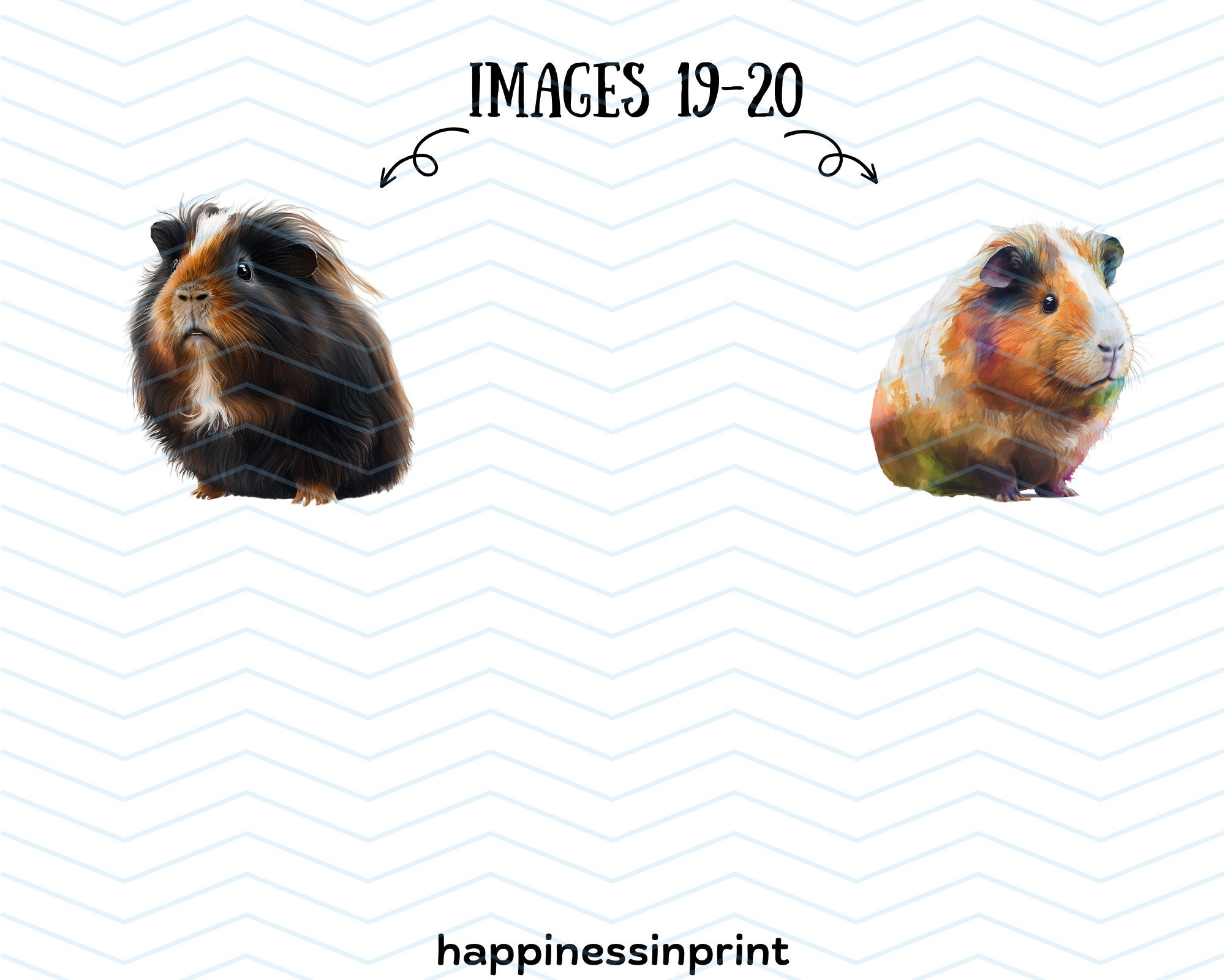 Cute Watercolor Guinea Pigs Clipart Bundle Watercolor Fluffy - Etsy UK