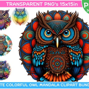 Colorful Owl Mandala Clipart Owl PNG Bundle Bright Owl Clipart Free ...