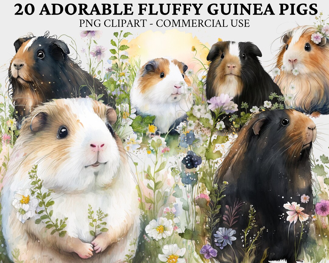 Guinea Pigs Clipart Watercolor Flower Guinea Pigs Png Clip Art ...