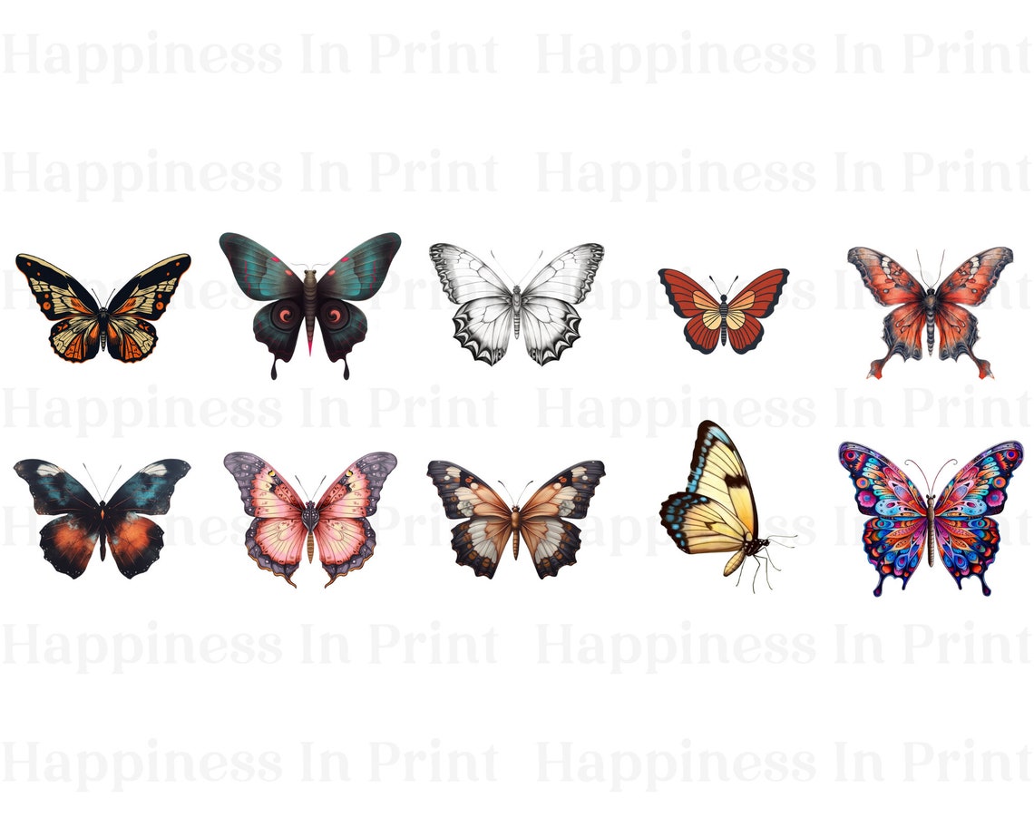 Watercolor Butterfly Clipart PNG Butterfly Clipart Butterfly - Etsy