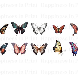 Watercolor Butterfly Clipart PNG Butterfly Clipart Butterfly Graphics ...