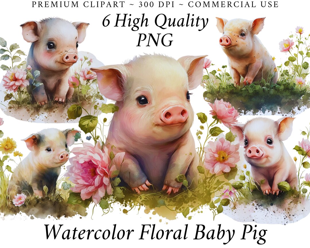 Cute Floral Baby Pig, Watercolor Clipart, Watercolor Pig PNG Baby ...