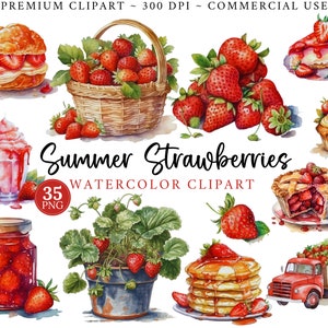Watercolor Strawberry Clipart 35 High Quality PNG Summer Food Clipart ...