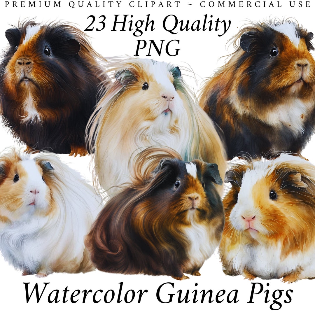 Cute Watercolor Guinea Pigs Clipart Bundle Watercolor Fluffy Potatoes ...