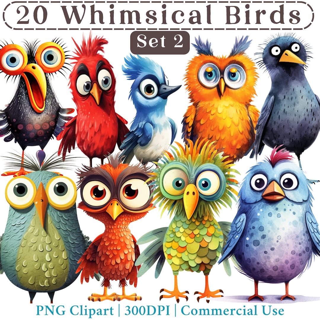 Whimsical Birds Clipart Bird Quirky Bird Clip Art Animal Owl PNG ...
