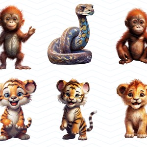 Adorable Rainforest Animal Clipart PNG Jungle Animal Clipart Safari PNG ...