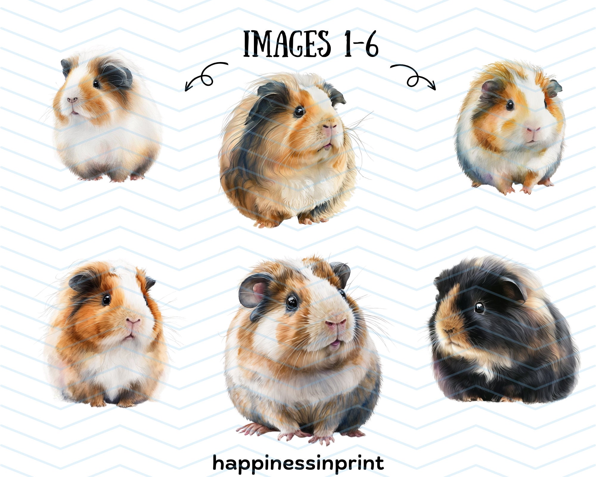 Cute Watercolor Guinea Pigs Clipart Bundle Watercolor Fluffy - Etsy UK