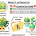 Cute Kawaii Houseplants PNG Clipart Bundle Chibi Cactus Succulent ...