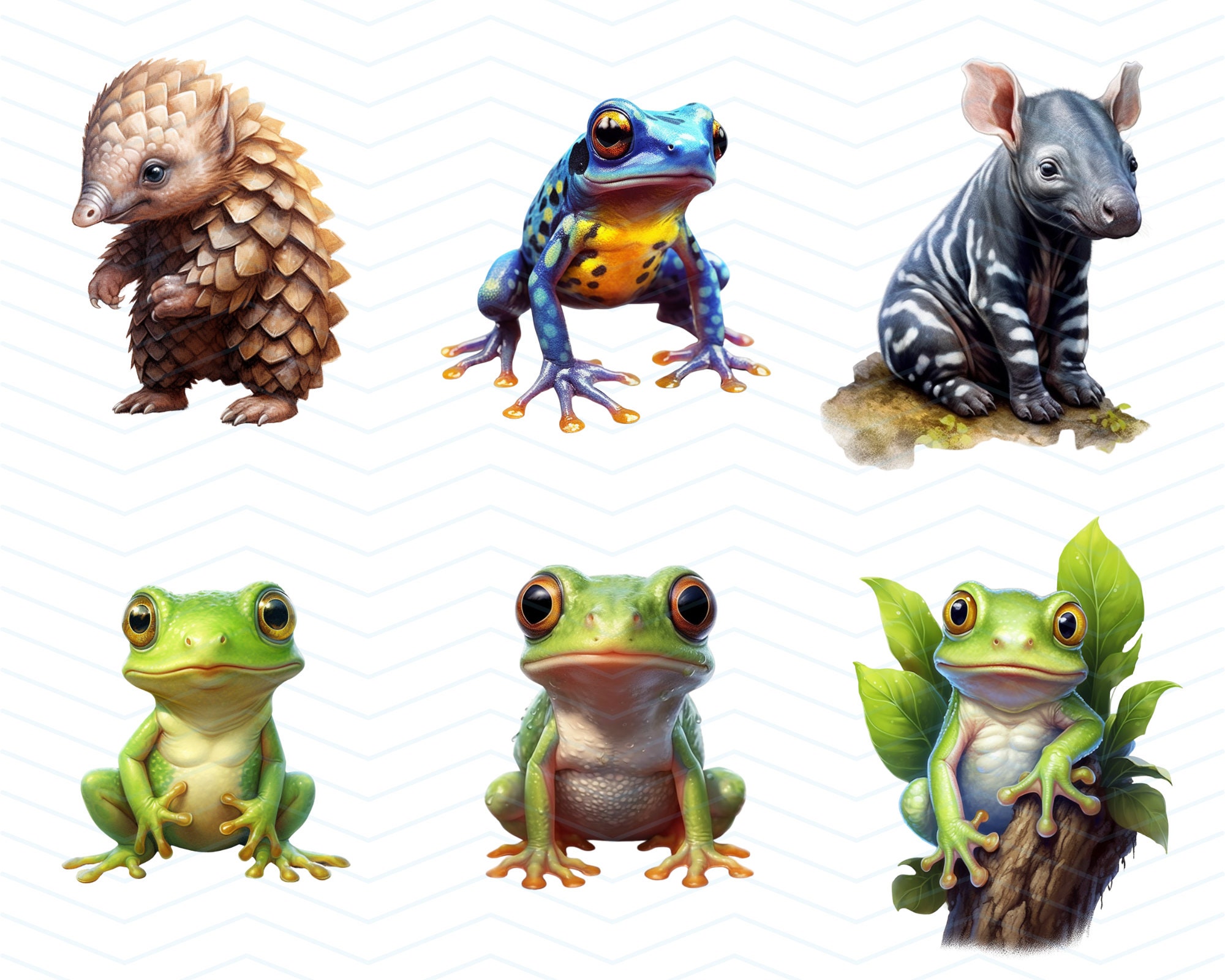 Adorable Rainforest Animal Clipart PNG Jungle Animal Clipart Safari PNG ...