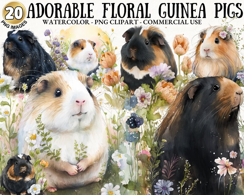 Guinea Pigs Clipart Watercolor Flower Guinea Pigs Png Clip Art - Etsy