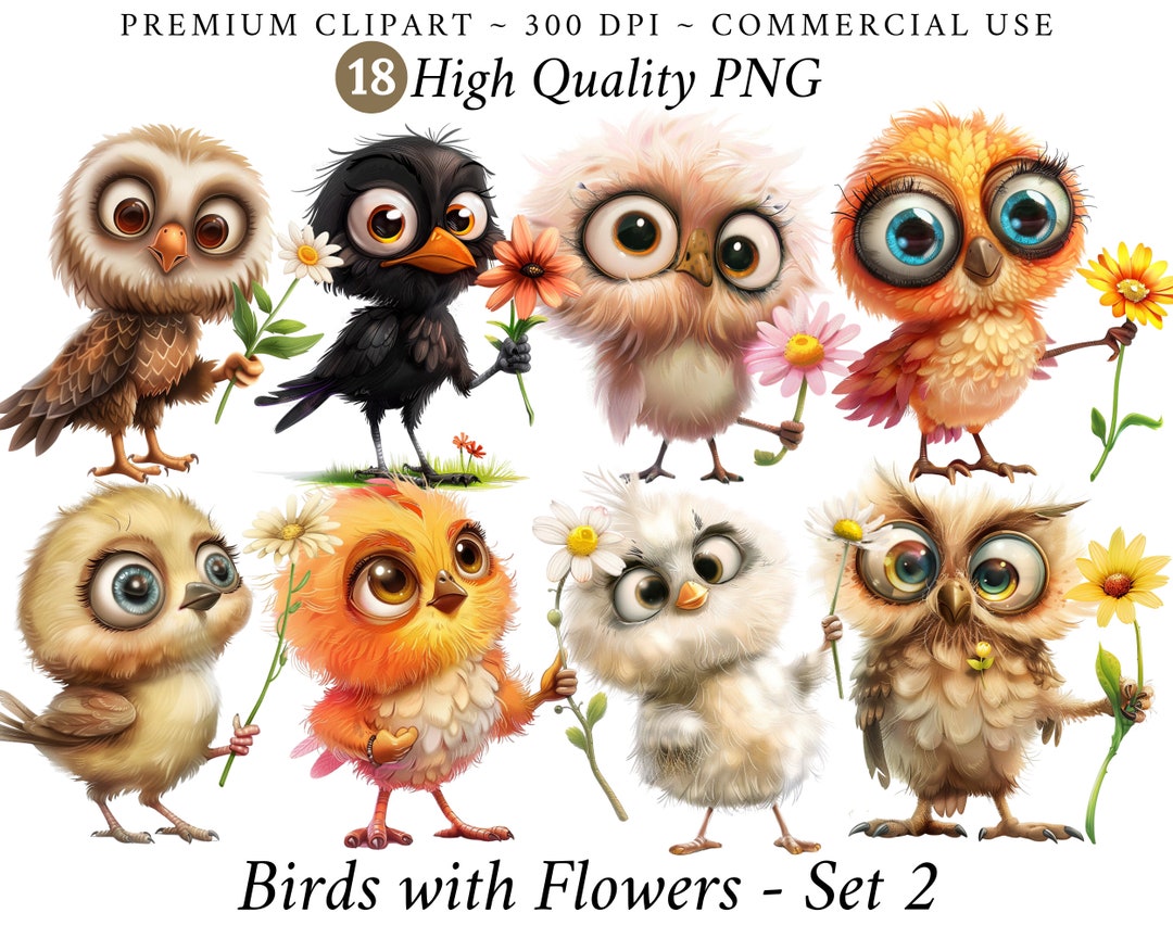 18 Funny Bird Clipart PNG, Quirky Bird Illustrations Whimsical Birds ...